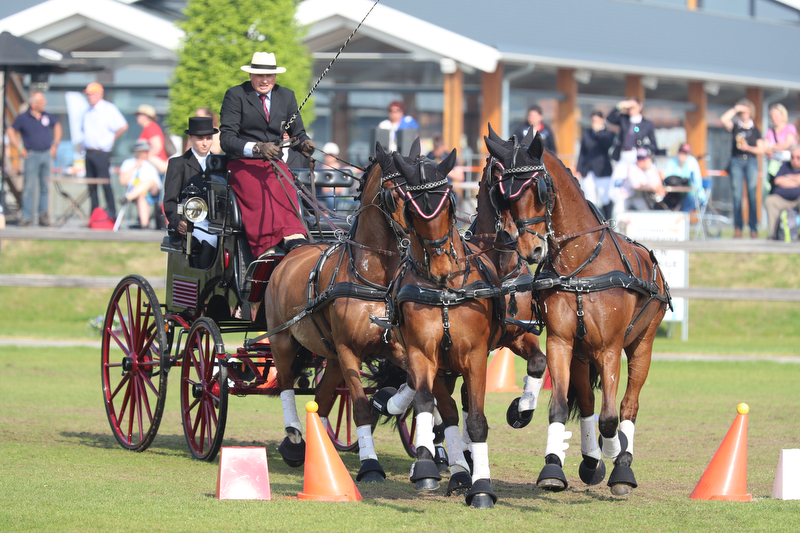 Paard&Koets 2018 succesvol - Academy Bartels