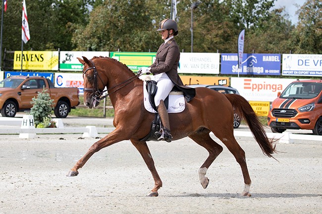 Judith en Amadeus Tolbert - Academy Bartels